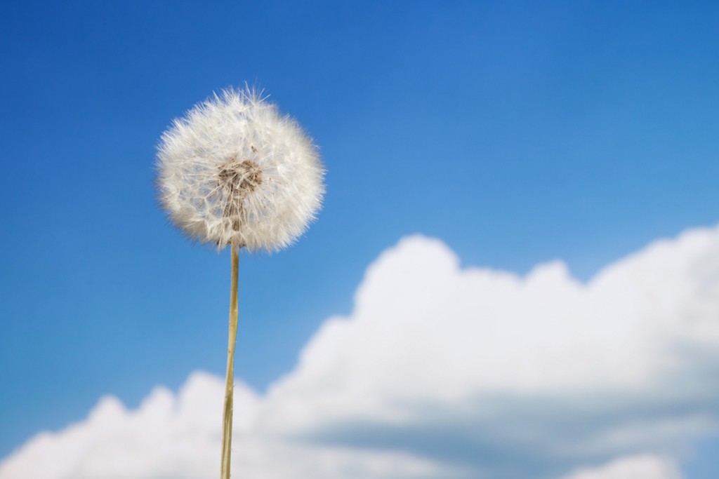 Vulnerability & Leadership (Part 1) - FP Advance Vulnerability & Leadership (Part 1) - FP Advance